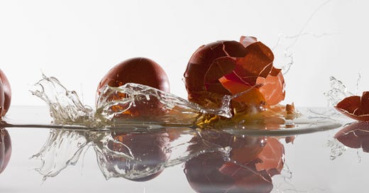 Consumed | Jane Black | Substack