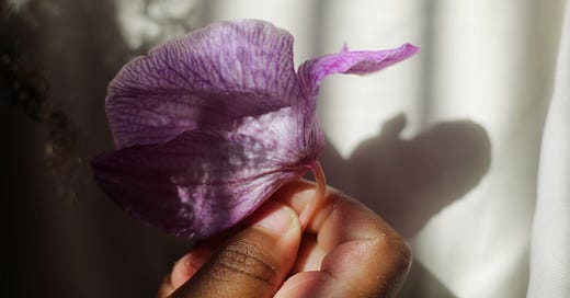 cuídate | Josefina H | Substack