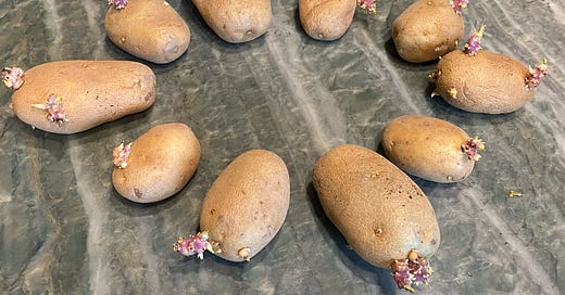 Coming Down to Earth with Barbara Brown Taylor | Substack