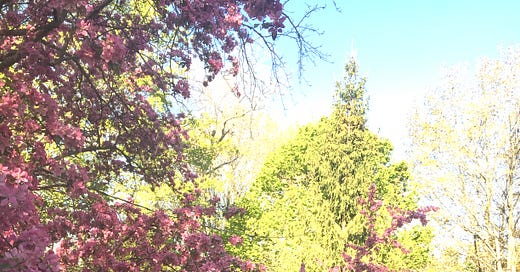 J.F. Riordan; Reflections on a Life in Exile | J. F. Riordan | Substack