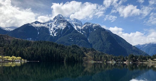 This Stays Here | Nicole Baart | Substack