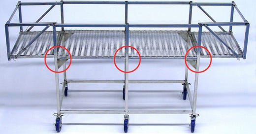 The Biostasis Standard | Biostasis Technologies | Substack