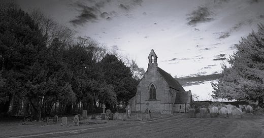 Shane J. Wood: Letters from the Desert | Substack