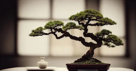 Compounding Quality | Substack