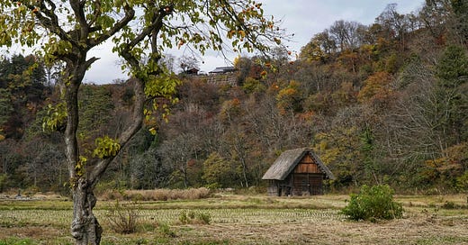 Carrie's Bench | Carrie Craig | Substack