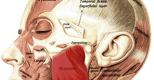 The Orange & Bee | Substack