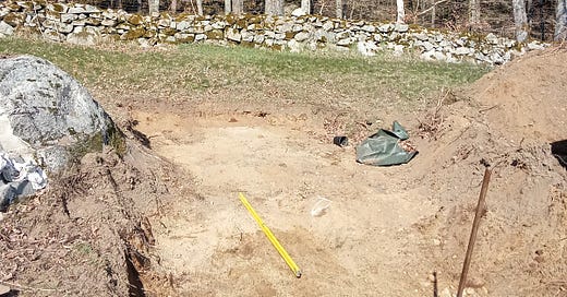 Wood From Eden | Tove K | Substack