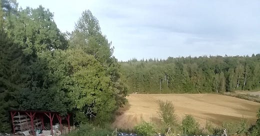 Wood From Eden | Tove K | Substack