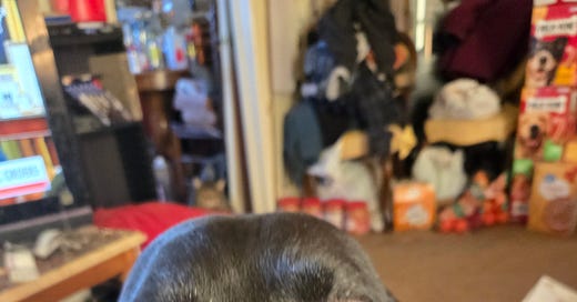 Justin’s Substack | Justin Smith | Substack