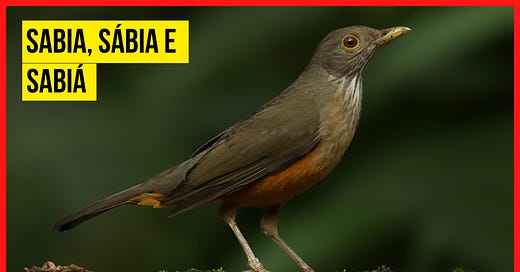 Sabia, sábia e sabiá - quando usar cada uma?