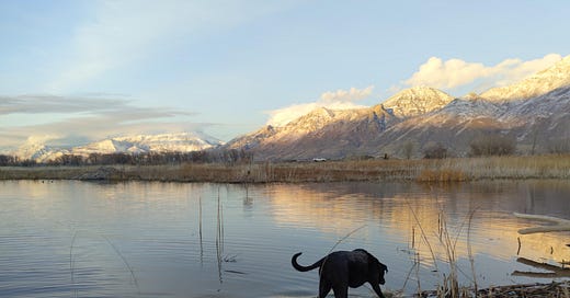 Cluny Journal | Substack