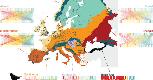 Complexity Thoughts | Manlio De Domenico | Substack
