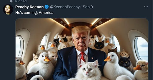 Peachy Keenan's Extremely Domestic | Substack