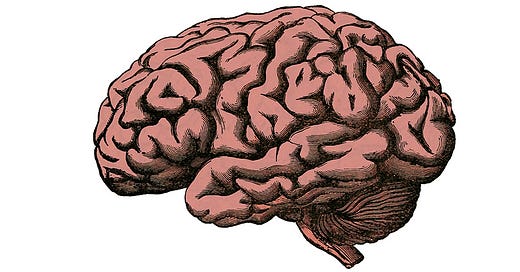 Think Better - A Brain Dump - Sapioplex’s Substack