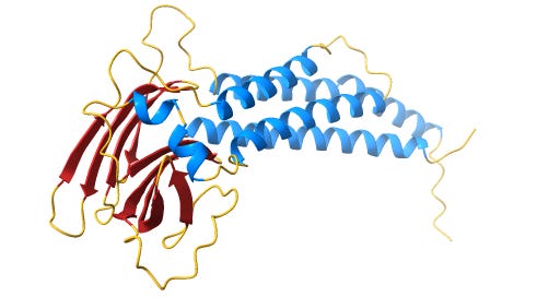 Trevor Klee’s Newsletter | Substack