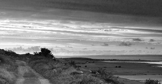 David Whyte | Substack