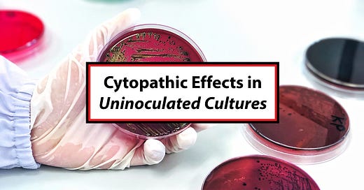 Matthew’s Substack | Matthew North | Substack