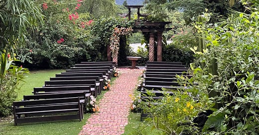 Shades of Greaves | Carlos Greaves | Substack