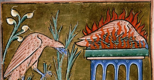 The Hinternet | Justin Smith-Ruiu | Substack