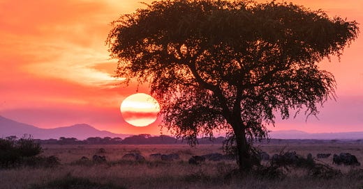 OmarKnows | Omar Shahine | Substack