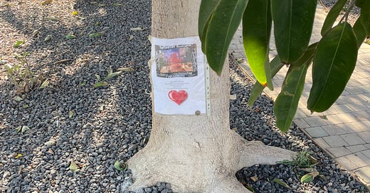 Sparks of light | Trudi Nicola | Substack