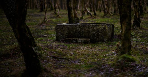 It's Looking A Bit Black Over Bill's Mother's | David Bocking | Substack