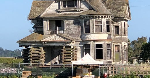 Live From California with Lloyd Kahn | Substack