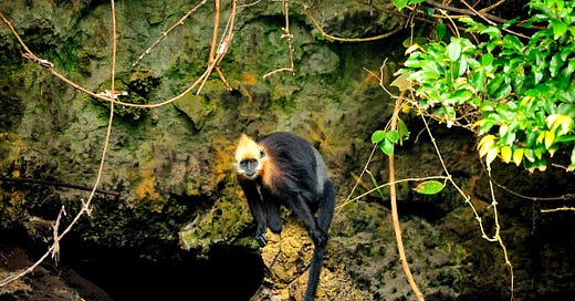 Trevor Klee’s Newsletter | Substack