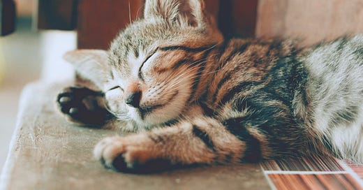 Medley | Anjali | Substack