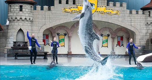 Behind The Lens | Clee Images | Substack