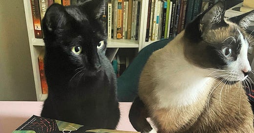 The Seaboard Review | Substack