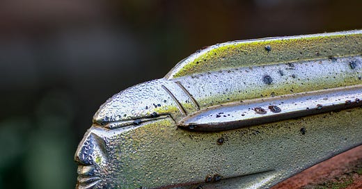 The Photographer's Perspective | Jason Odell | Substack