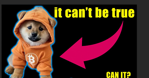 Crypto Capital Venture | Dan Gambardello | Substack