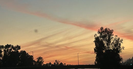 Have You Died Today? | Karren Lovejoy | Substack