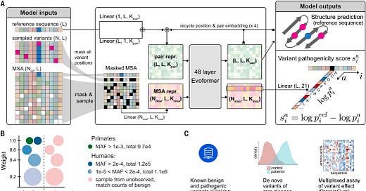 Life, explained | Simona Cristea | Substack