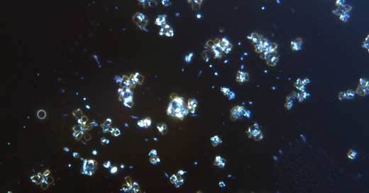 Karl.C’s Substack | Substack