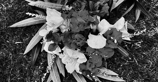 Xx Lex | Lex D’Angelo | Substack