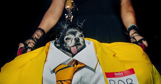 In the Flash | Dina Litovsky | Substack