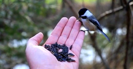 Dan Rodricks Commentary | Substack