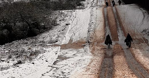 The Border Chronicle | Substack