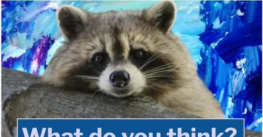 Lit Mag News | Becky Tuch | Substack