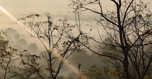 Pagdandi Fellowship 2025-26 - Pagdandi