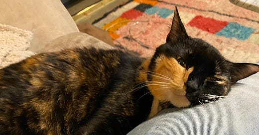 Off Message | Brian Beutler | Substack