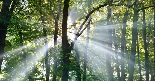 Asha’s Substack | Asha Logos | Substack