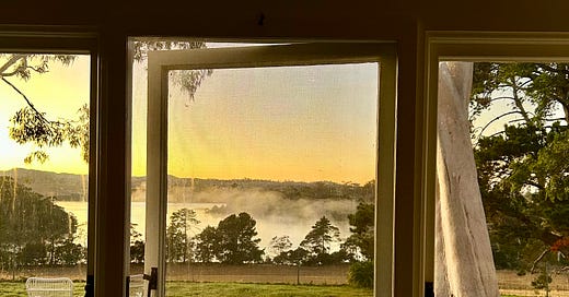 The Sit Spot | Maggie Mackellar | Substack