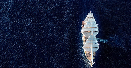 Death & Birds | Chloe Hope | Substack