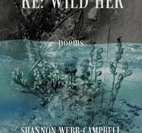 The Seaboard Review of Books | Substack