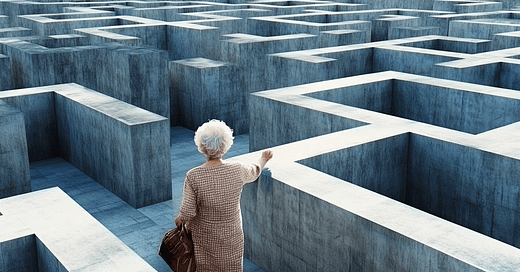 Longévité | Alexandre Faure | Substack