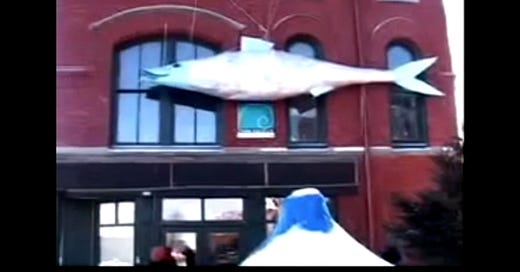 The Crash Report | Crash Barry | Substack