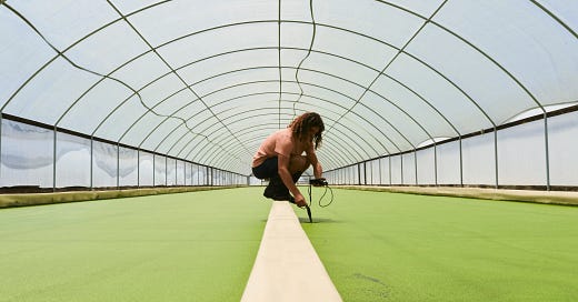 Business San Diego | Fred Grier | Substack